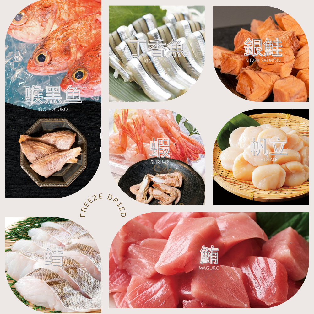 Seafood Selection – DAFU